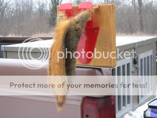 UKC Forums - Lighting Fast Squirrel Skinner