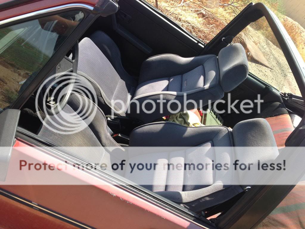 81 vw rabbit | VW Vortex - Volkswagen Forum