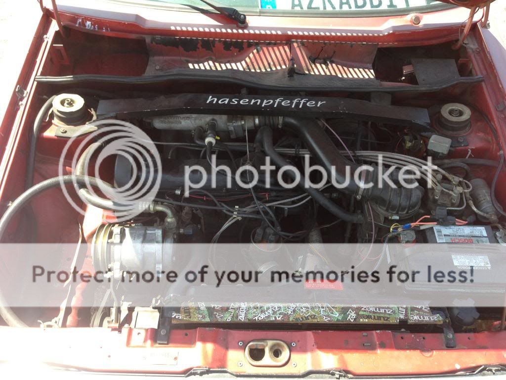 81 vw rabbit | VW Vortex - Volkswagen Forum