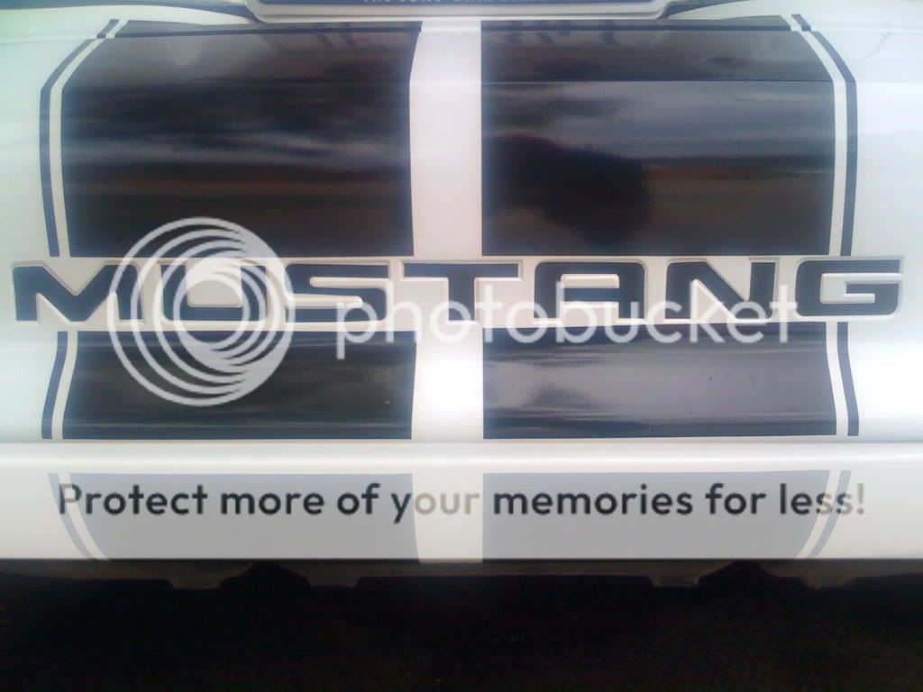 sig request | Modded Mustang Forums