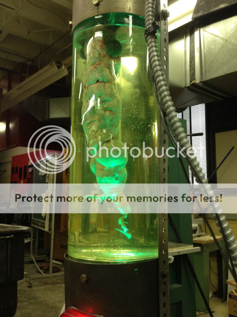 Mechanical: - Alien Bug Larva | Halloween Forum