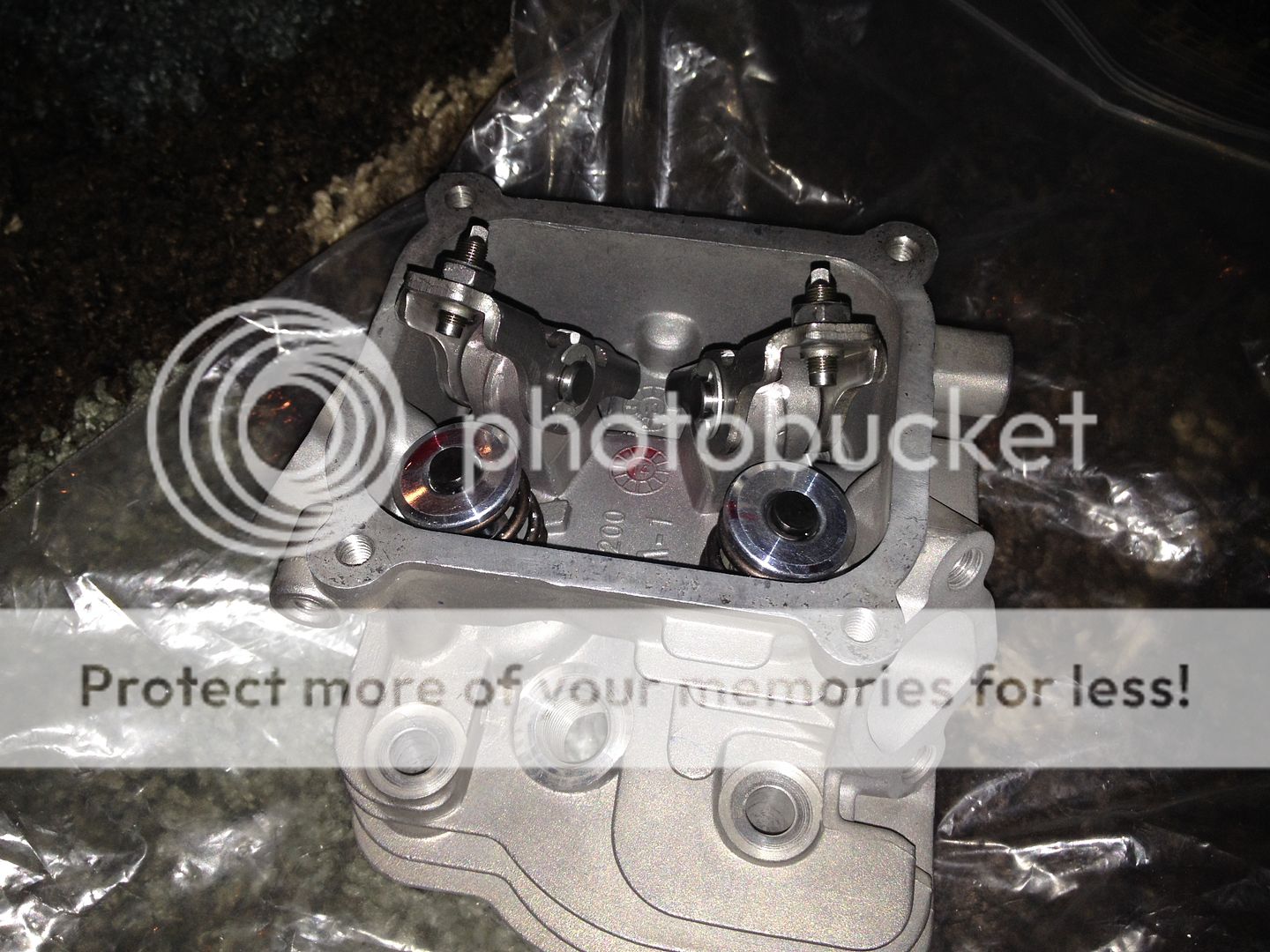 Predator Hemi vs Non Hemi head | OldMiniBikes.com