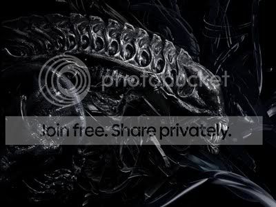 View topic - Aliens Vs Predator -::]Peace Treaty[::- (Now Open ...